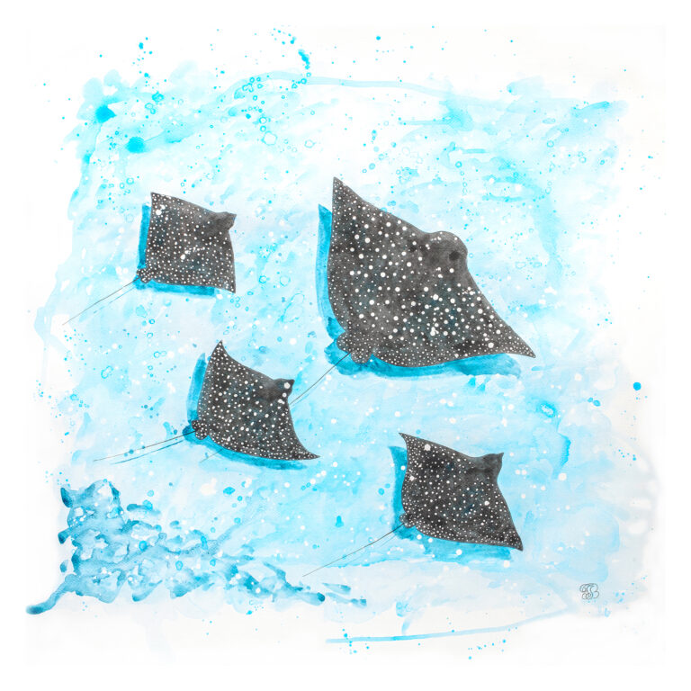 Aquatic Life Art Collection - Inspy Art